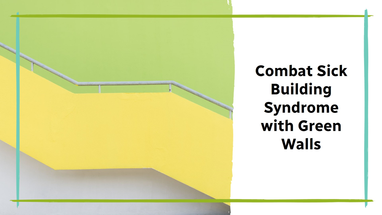 Breathe Easy: How Green Walls Combat Sick Building Syndrome